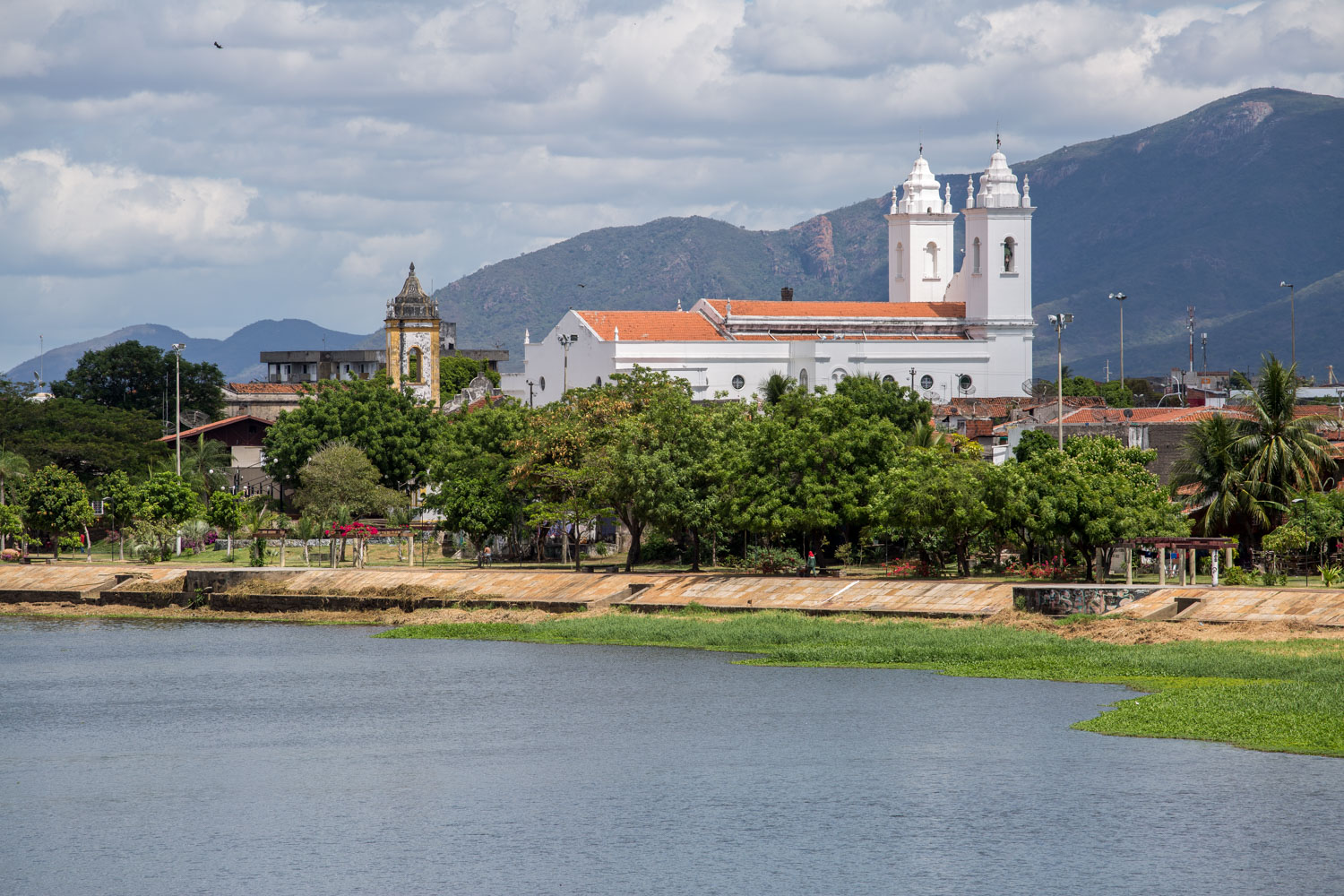 Plano de Arborização de Sobral – Architectus S/S