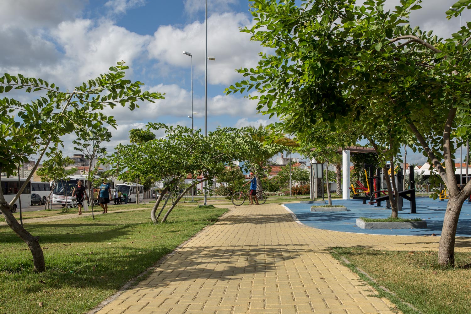 Plano de Arborização de Sobral – Architectus S/S